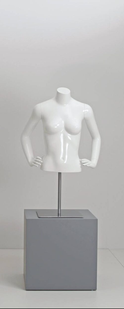 Dame torsoer - Forskellige modeller og farver | European Mannequins